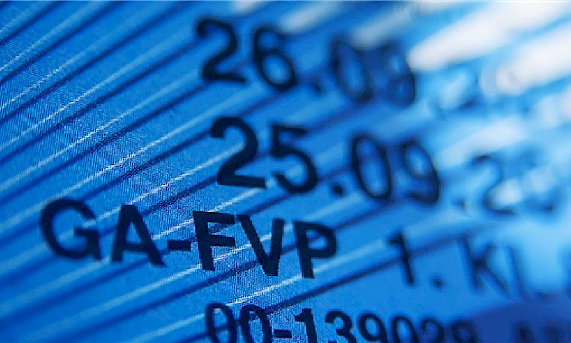 «Beim FVP-Angebot sind die letzten offenen Punkte geklärt» : SEV-Online